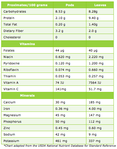 Care to Moringa? – Plants and Beyond
