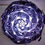 Fibonacci Sequence in Nature and Plants. – Plants and Beyond