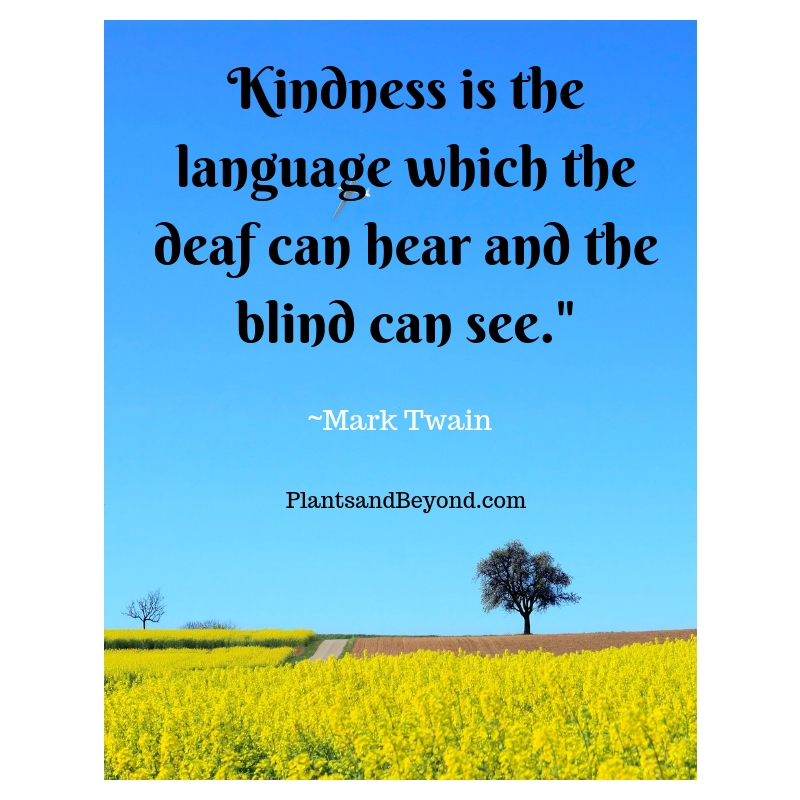 Trader Joe’s Kindness – Plants and Beyond