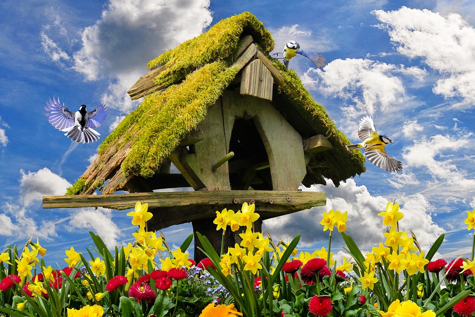 Spring Is The Season For Flowers – Plants and Beyond