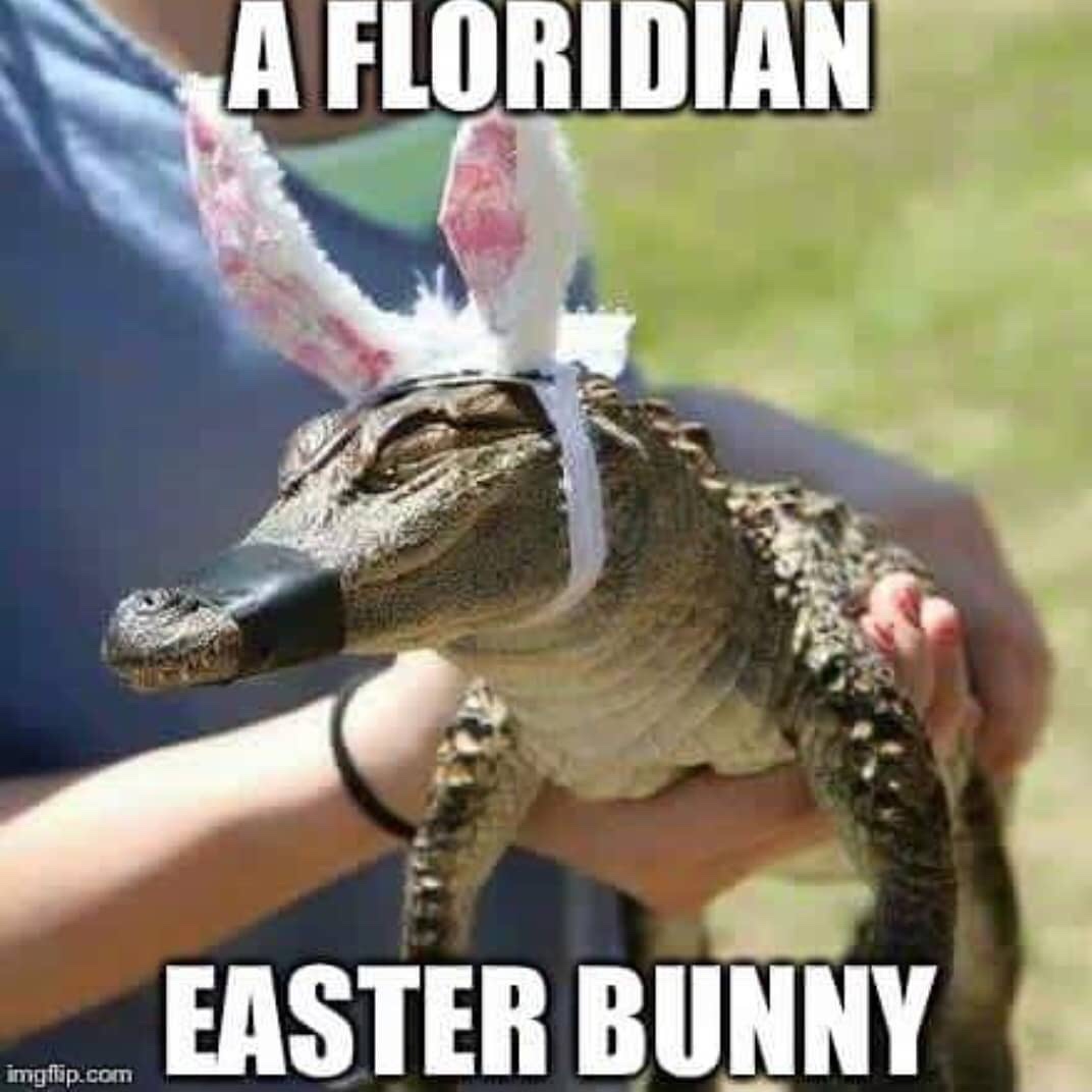 Happy Easter From Florida – Plants and Beyond